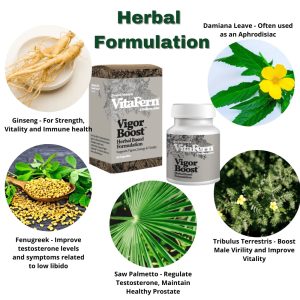 Vigor Boost™ - VitaFern